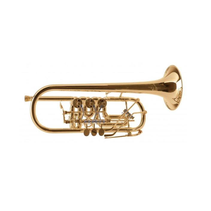 Oberrauch C Trumpet 鍍金轉閥C調小號 – 齊格飛音樂