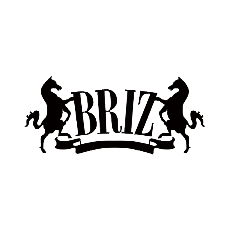 代理/經銷品牌 – 齊格飛音樂