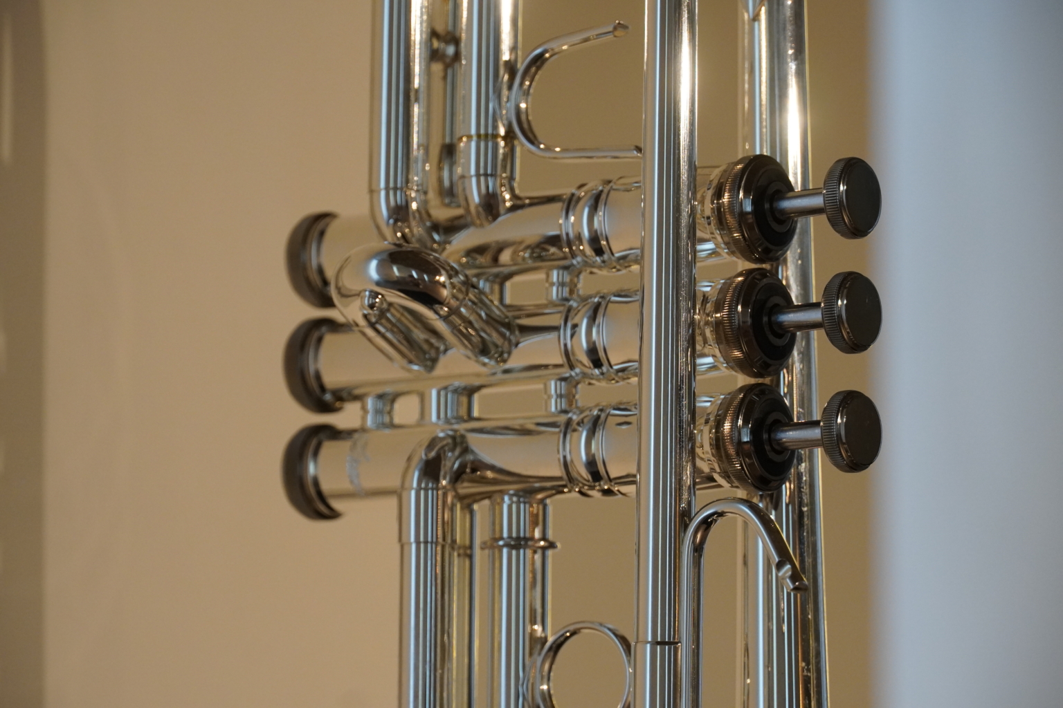 Stomvi Mambo Titanium Bb Trumpet 黃銅鍍銀小號 – 齊格飛音樂