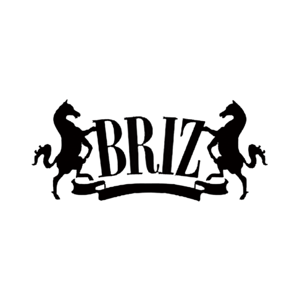 代理/經銷品牌 Brands – 齊格飛音樂